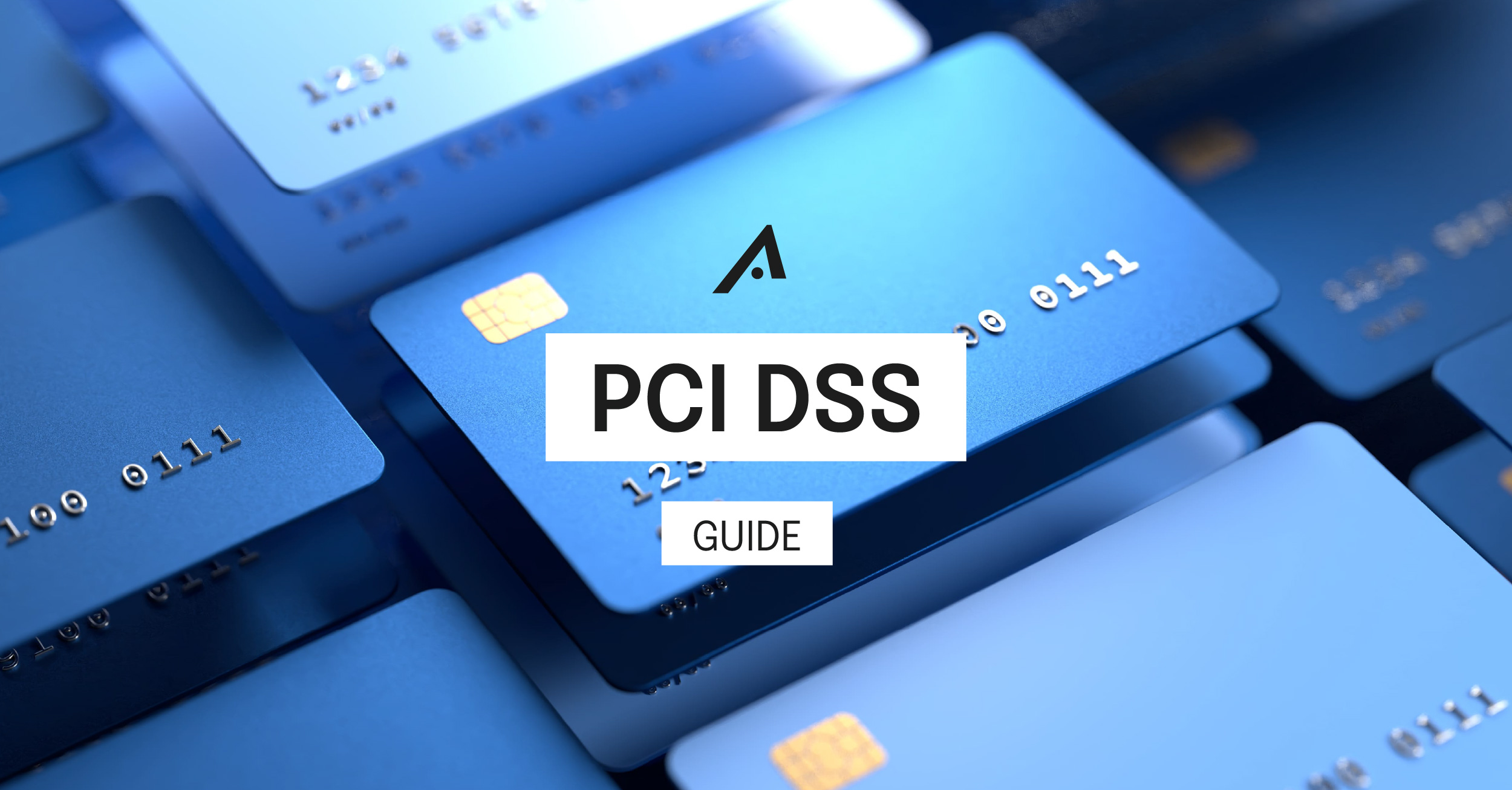 Your Guide to PCI Data Security Standard (PCI DSS) Certification ...